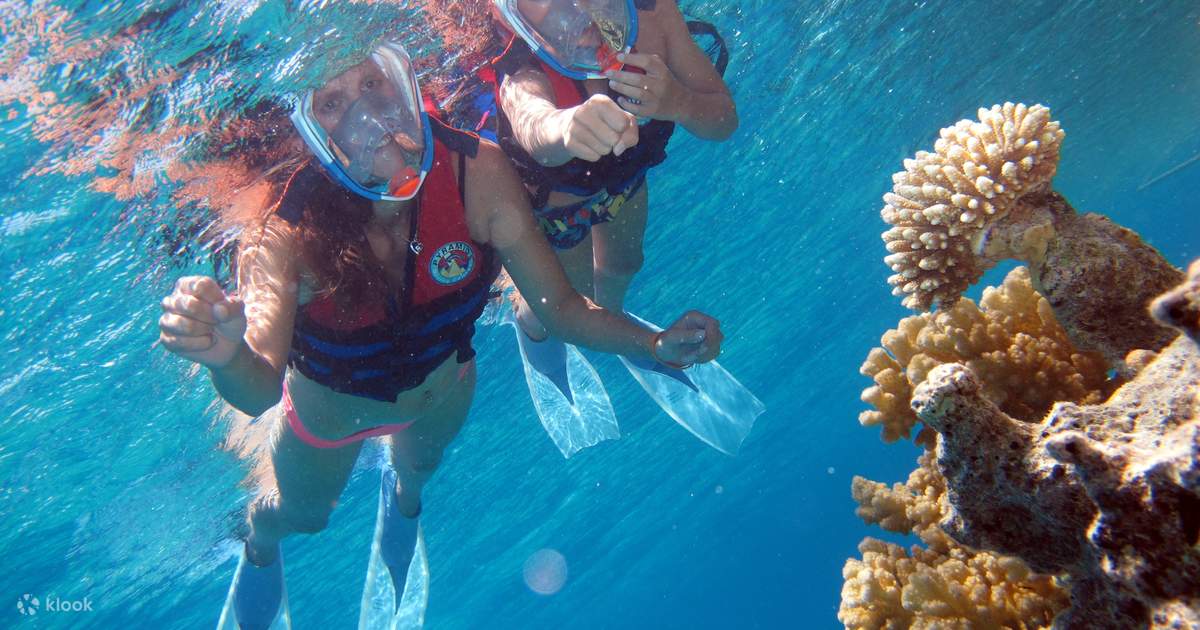 Ras Mohamed Snorkel Excursion in Sharm El-Sheikh with PADI 5 Star IDC ...