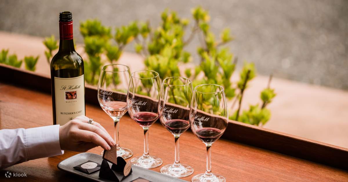 Trải nghiệm thưởng thức sô cô la và rượu vang St Hallet Cuvee - Klook ...