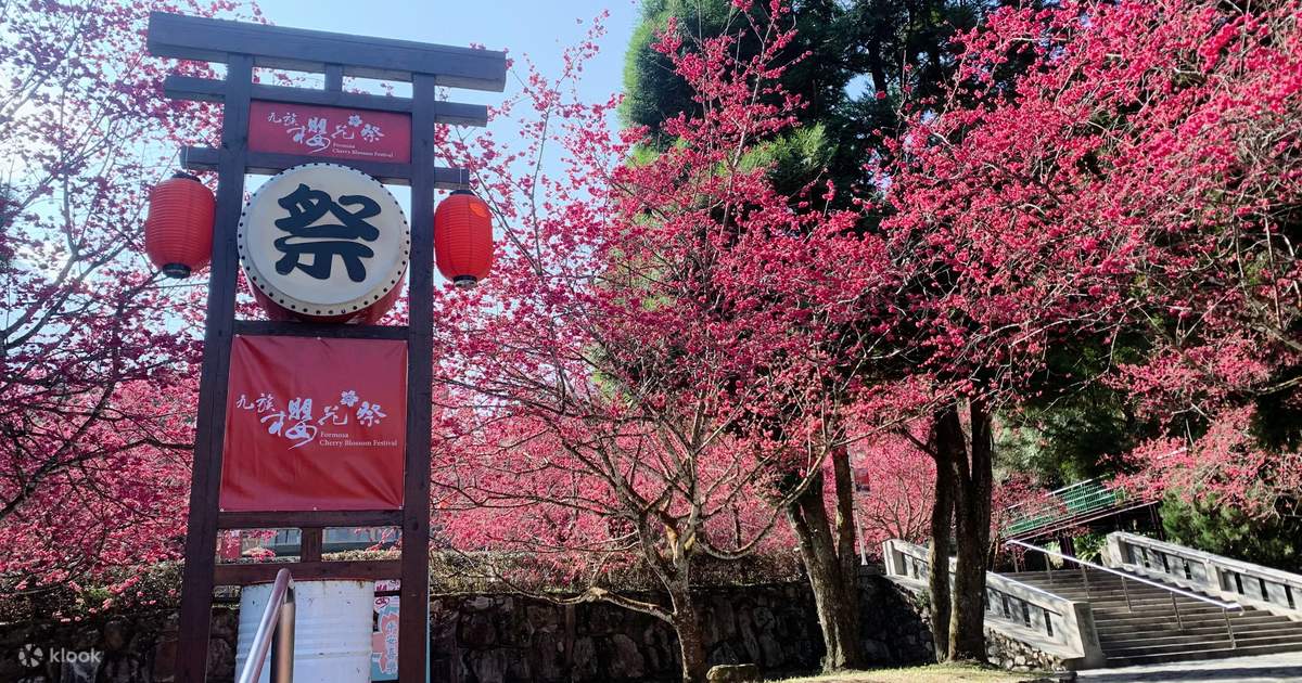南投九族文化村櫻花季門票（贈日月潭纜車） Klook 客路