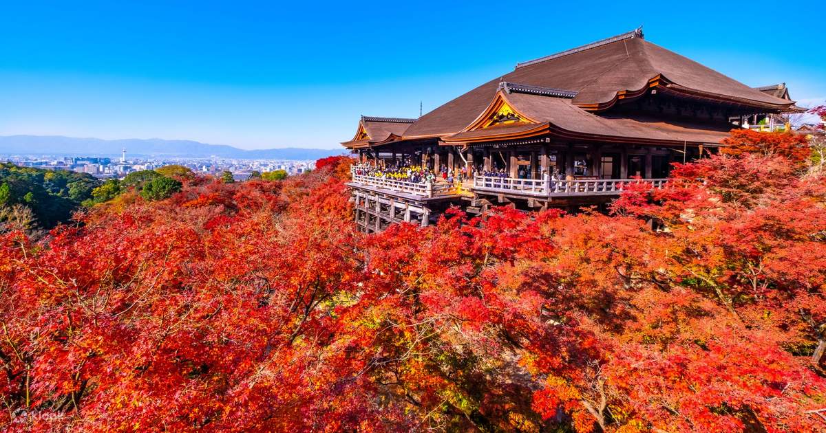 Kyoto City, Fushimi Inari Taisha, Arashiyama, and Kiyomizu-Dera Tour ...