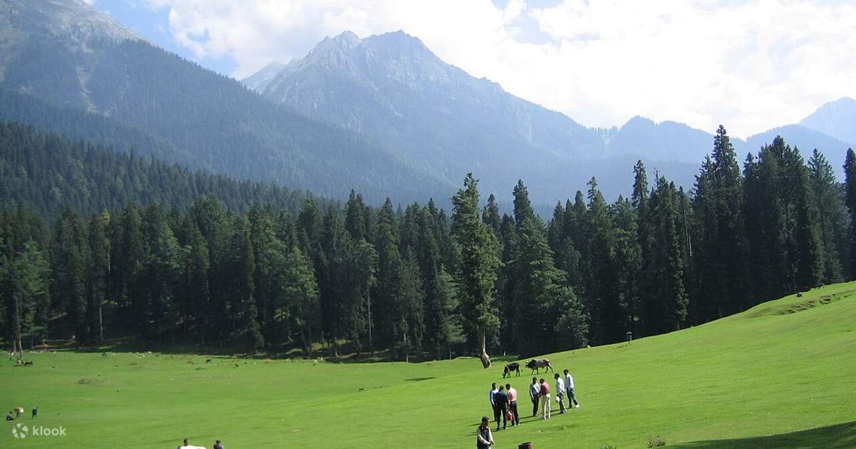 Pahalgam Tour via Saffron Farms & Apple Valley from Srinagar - Klook ...