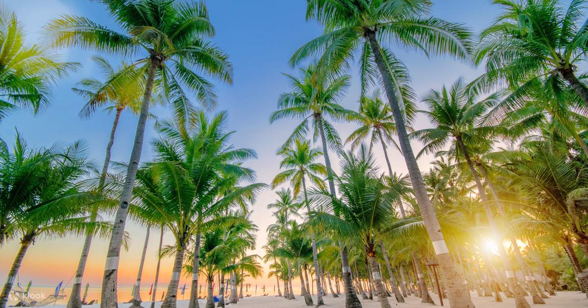 South Palms Resort Panglao Day Use: Fun in the Island - Klook Philippines