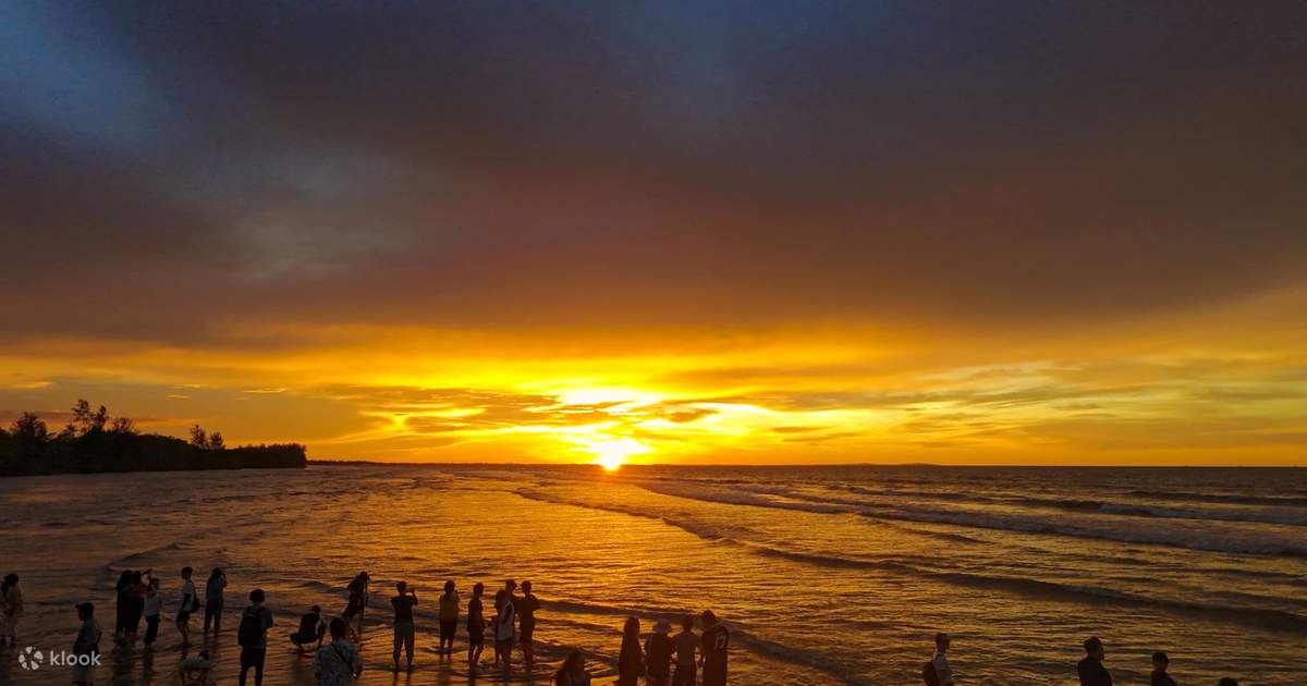 Bongawan Mangrove River Cruise & Fireflies Tour in Sabah – A Magical ...