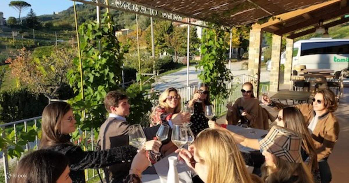 Private wine tour on the hills of Lucca with expert sommelier - Klook ...