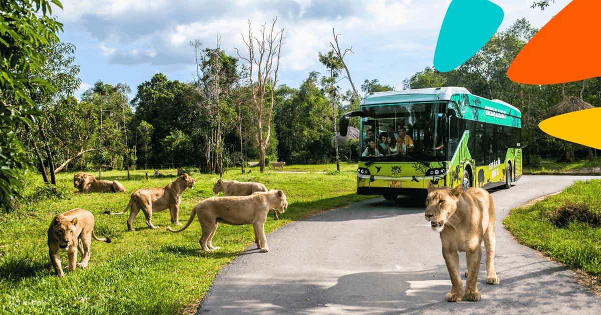 Vé Vinpearl Safari Phú Quốc - Klook Việt Nam