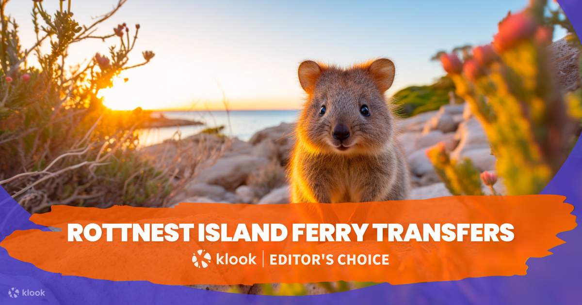Traslados en ferry a la isla Rottnest - Klook Estados Unidos