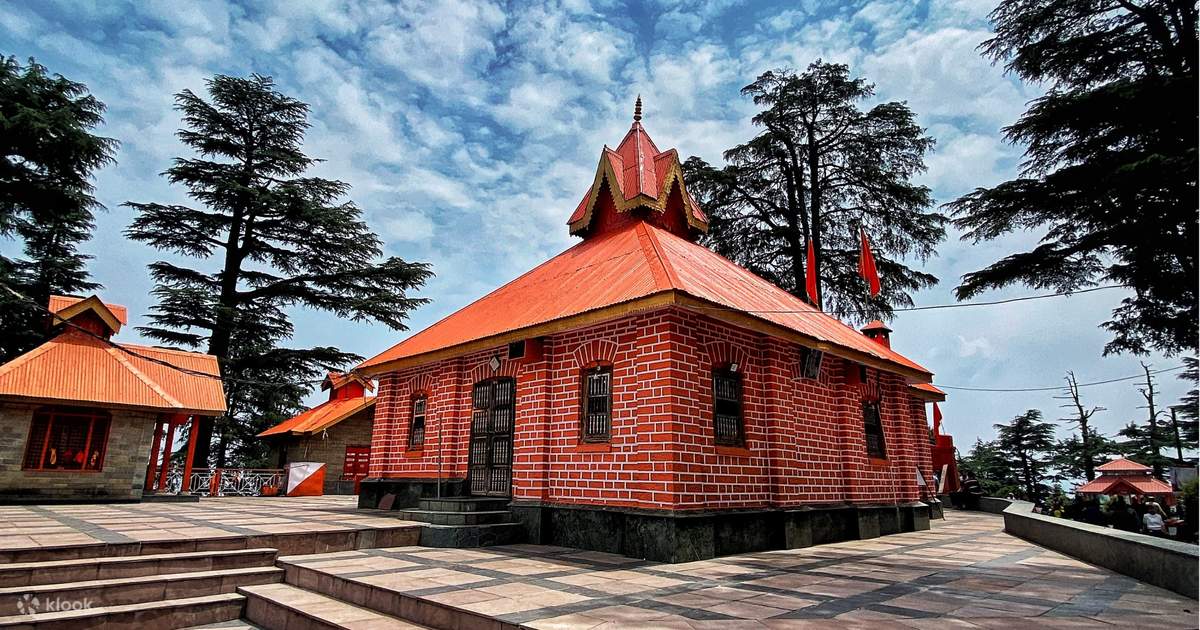Explore the Natural Beauty of Shimla: 3-Hour Guided Nature Trail with a ...