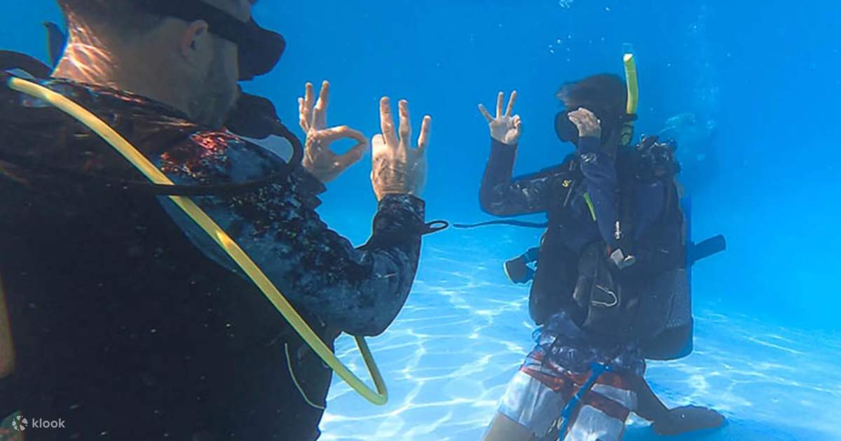 PADI ReActivate Scuba Refresher (E-learning) in Florida with PADI Dive ...