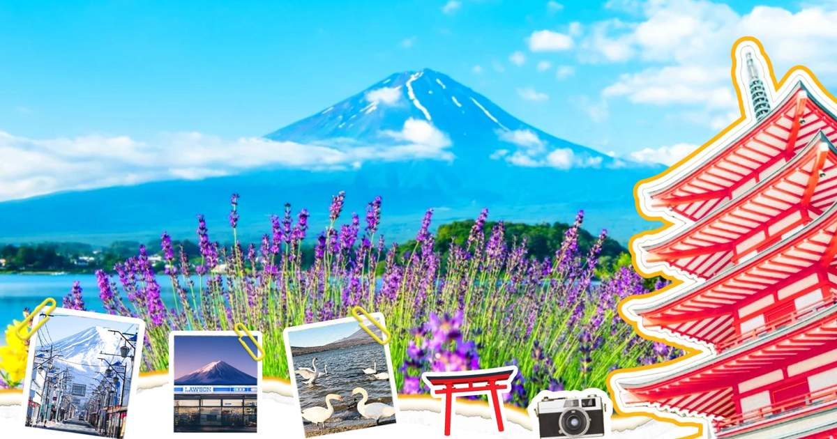 One-day tour of Mount Fuji with beautiful views and photos｜Feeding ...