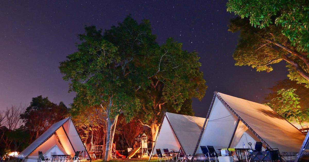 Miaoli: Bell Tent Glamping Experience in Whispering Tree Campground - Klook