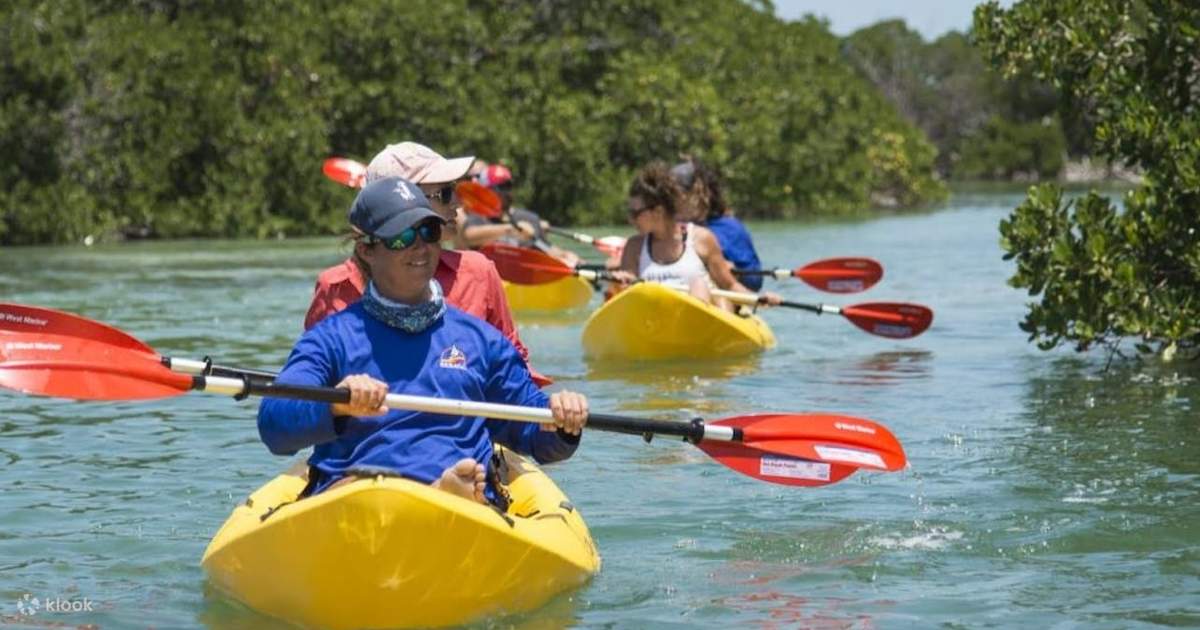 Tur Eko Pulau Key West dengan Kayak dan Snorkeling dari Miami - Klook ...