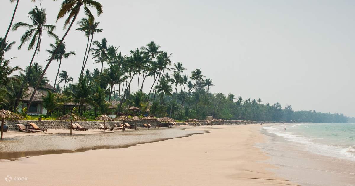 Ngapali Beach Experience Private Tour - Klook