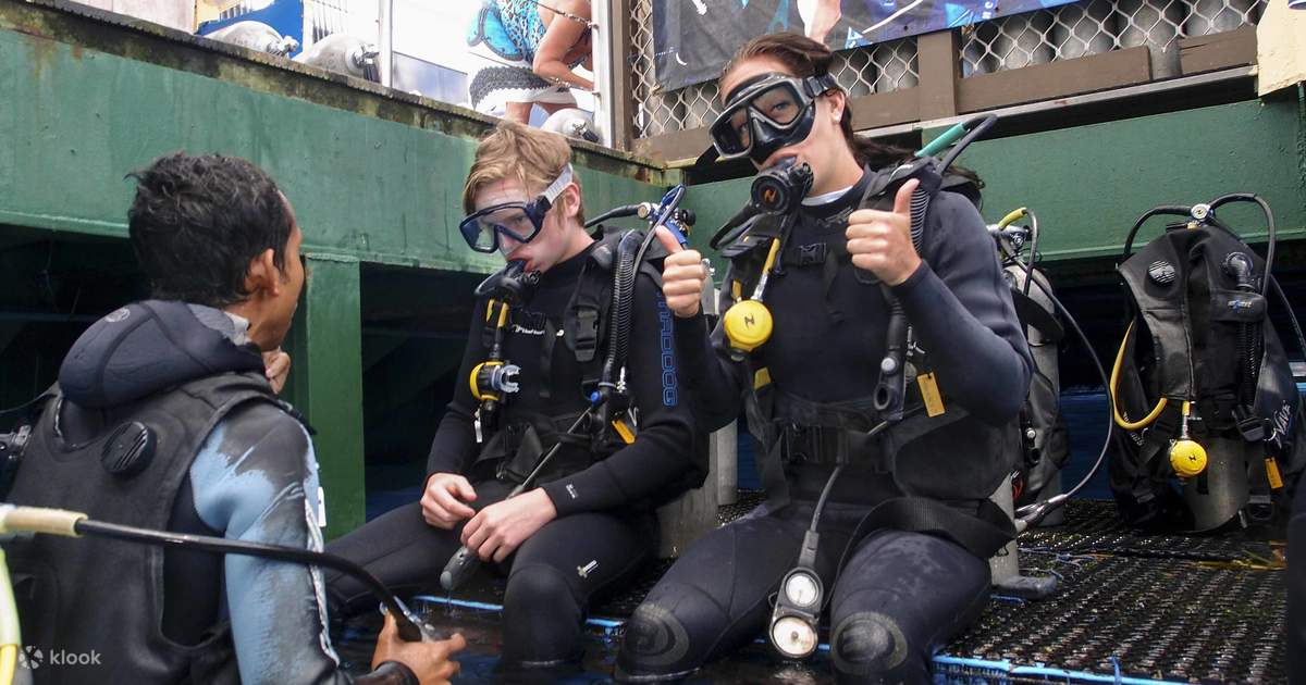 Memulai Eksplorasi Bawah Air: Temukan Scuba Diving di Bali - Resor ...