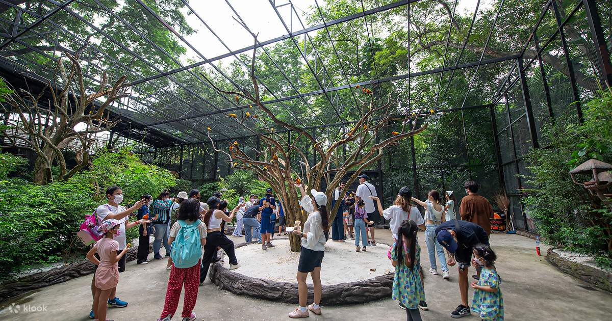 Buy Bangkok Safari World Tickets Online and Meet Exotic Animals - Klook
