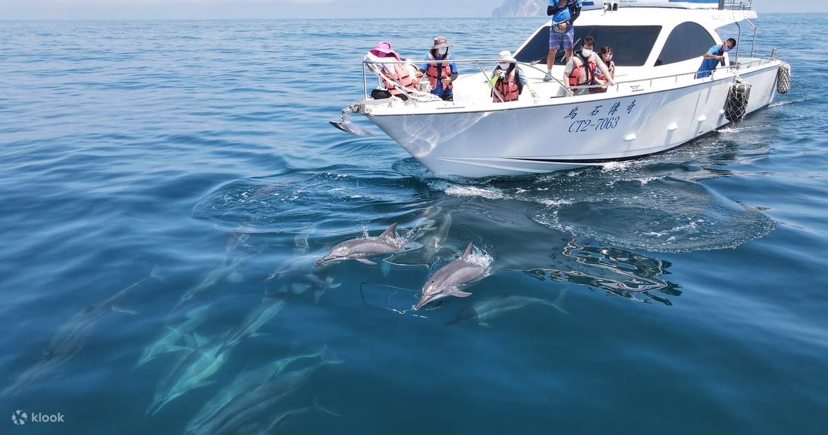 Guishan Island Landing, Whale Watching, Surrounding Guishan Island ...