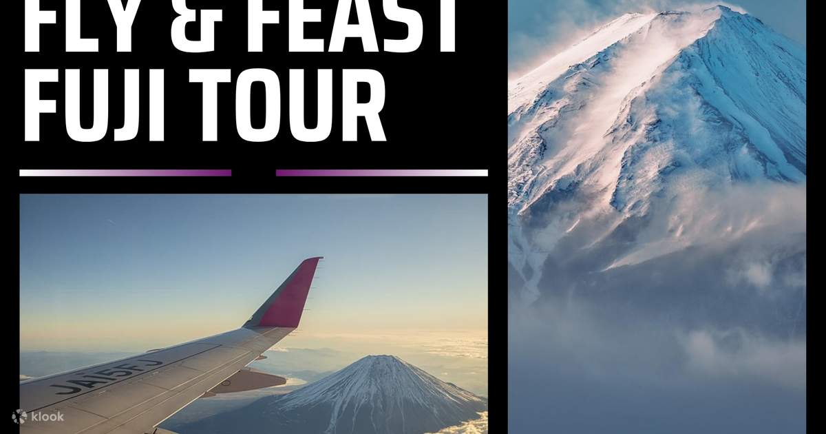 Mt. Fuji Charter Flight with Heritage Center & Shimizu Port Gourmet ...