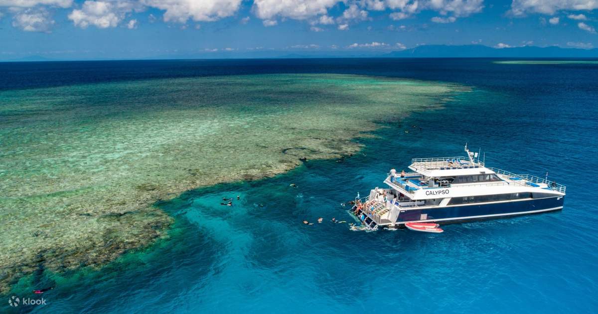 Opal Reef and Agincourt Reef Snorkeling Experience - Klook