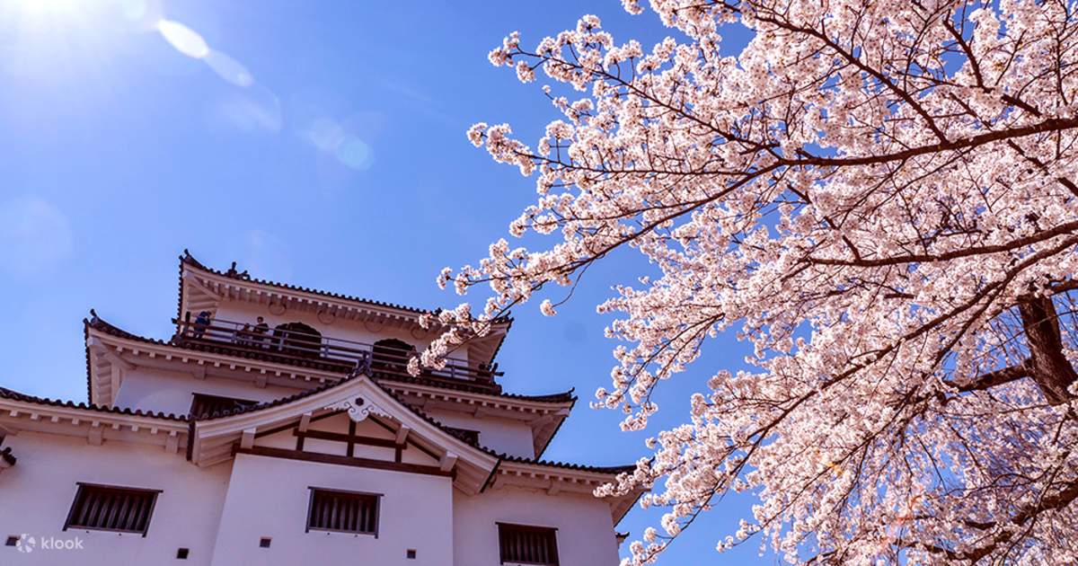 Sendai Cherry Blossom Season Exclusive Private Charter One-Day Tour ...