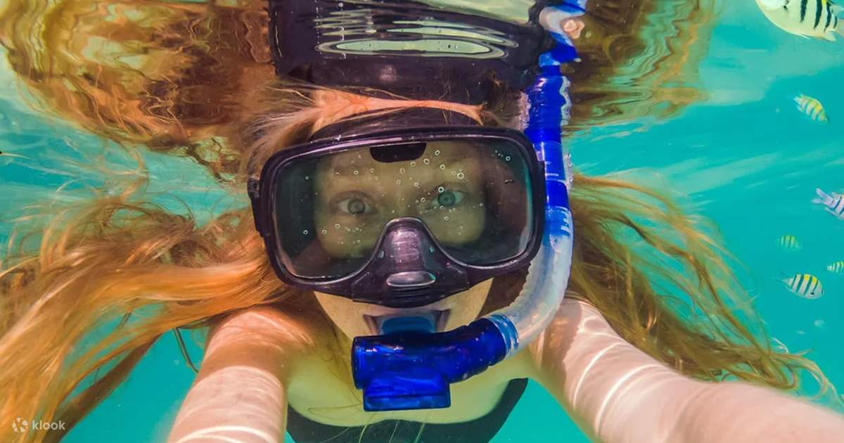 Prova lo snorkeling a Napaling e nuota con le sardine di Panglao ...