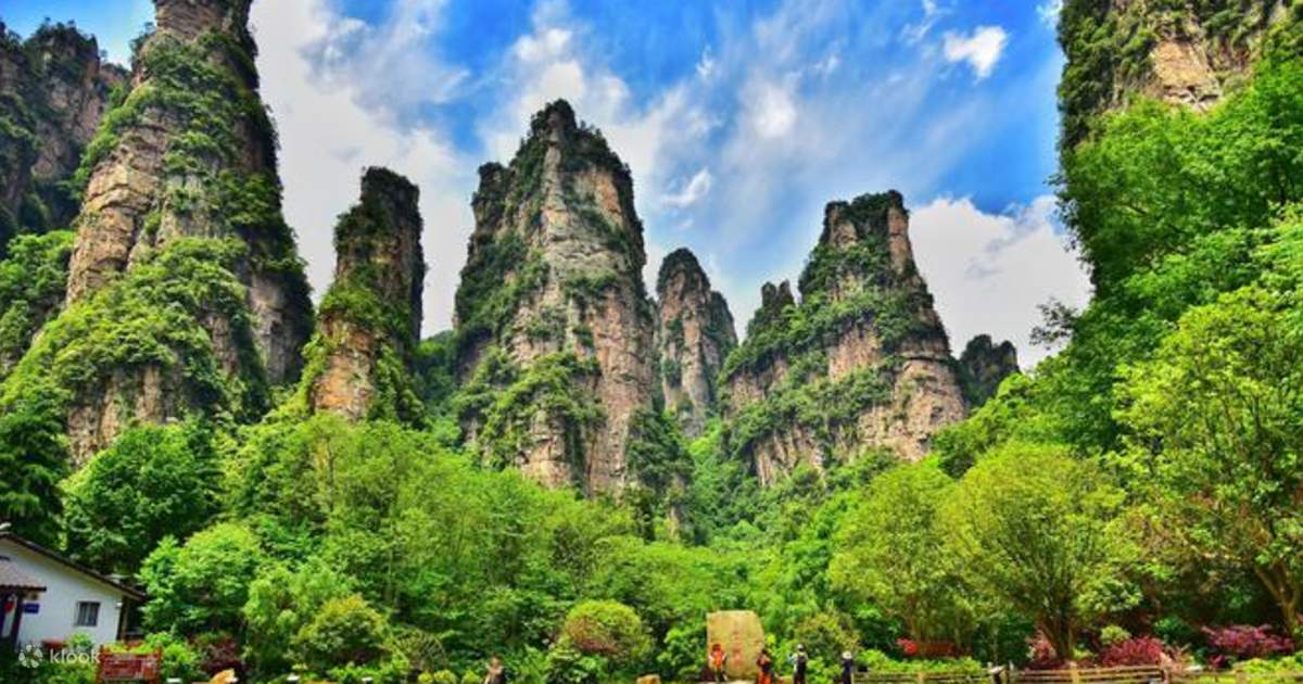 Zhangjiajie 3-Day Private Tour National Forest Park Avatar Mountain ...