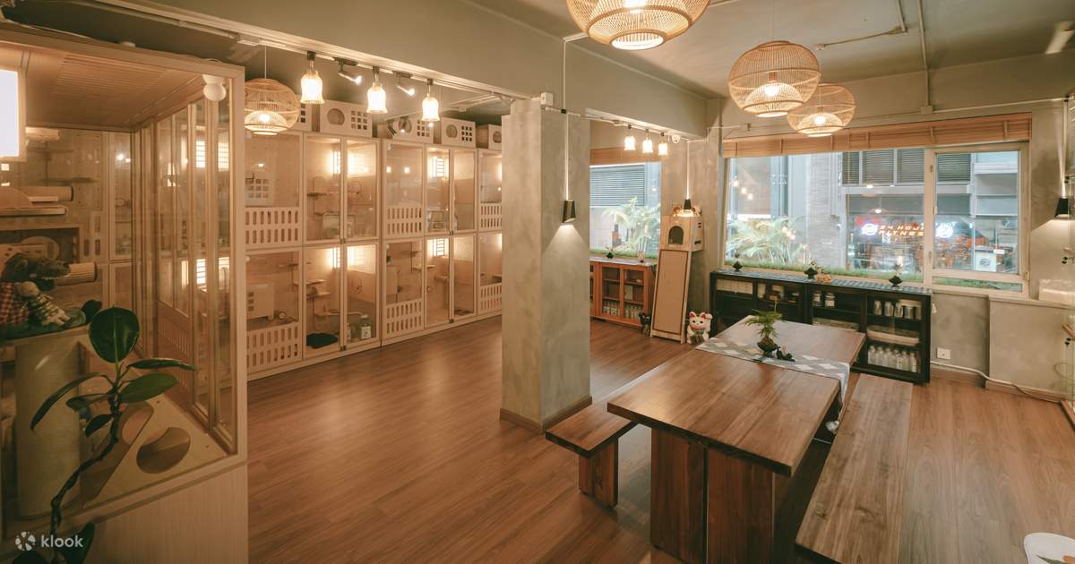 Mau Planet X Mau BnB Cat Hotel in Hong Kong - Klook