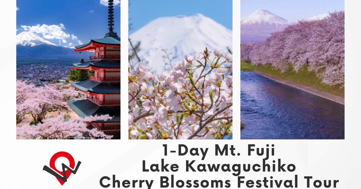 1-Day Mt. Fuji Lake Kawaguchiko cherry blossoms Tour Oshino Hakkai ...