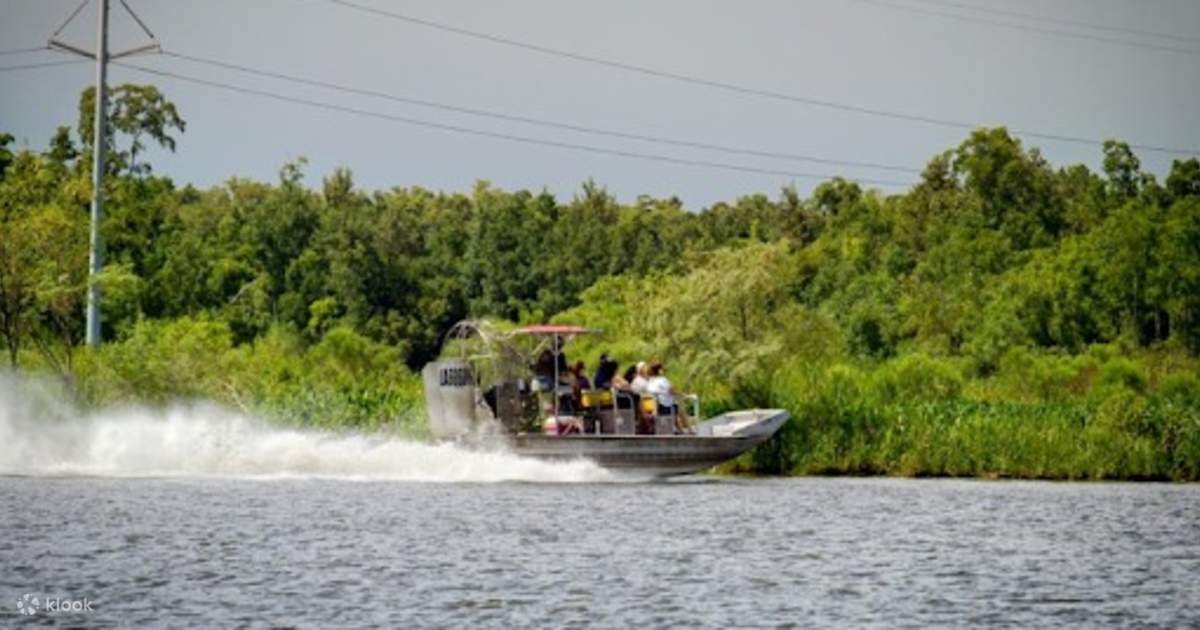 Small Airboat Swamp Tour in New Orleans - Klook