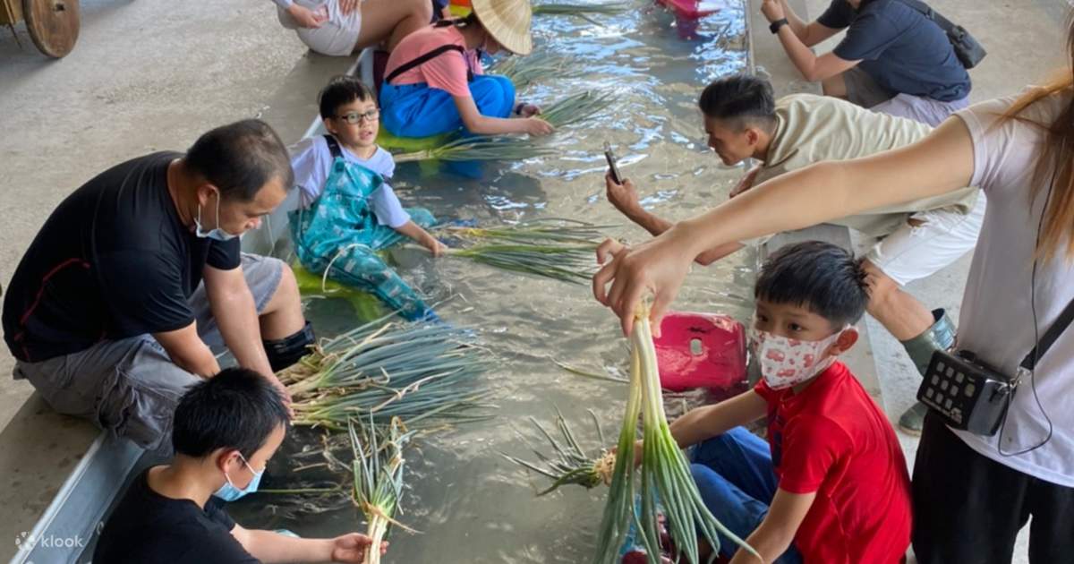Yilan｜Chu Mi Experience Farm｜DIY Creative Scallion Bread Experience ...