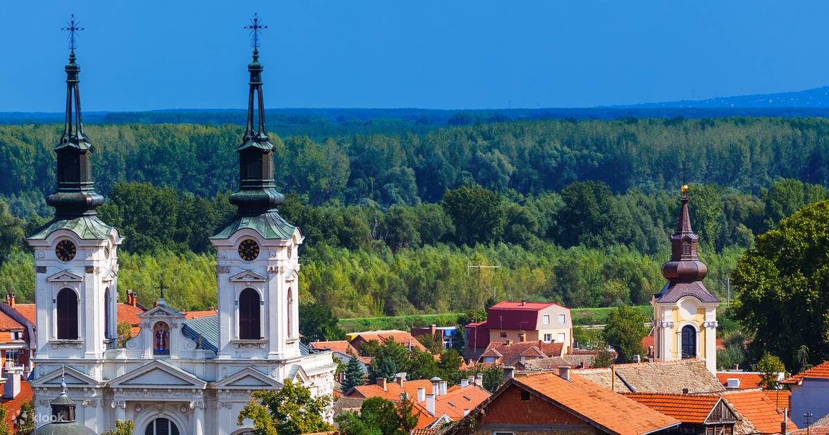 Belgrade Novi Sad & Sremski Karlovci Day Tour - Klook