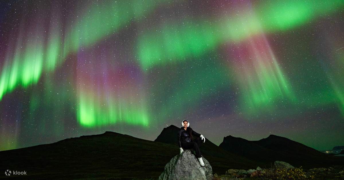 Excursión de día completo en grupo pequeño para ver la aurora boreal en ...