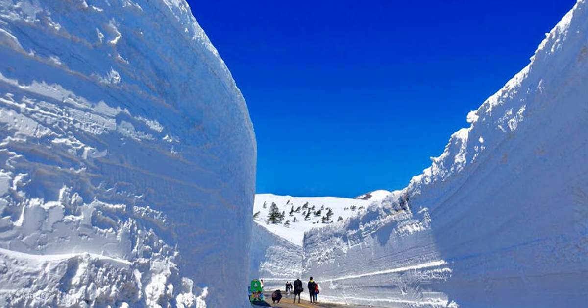 Limited time only! Zao Snow Wall & Cherry Blossom Viewing One Day Tour ...
