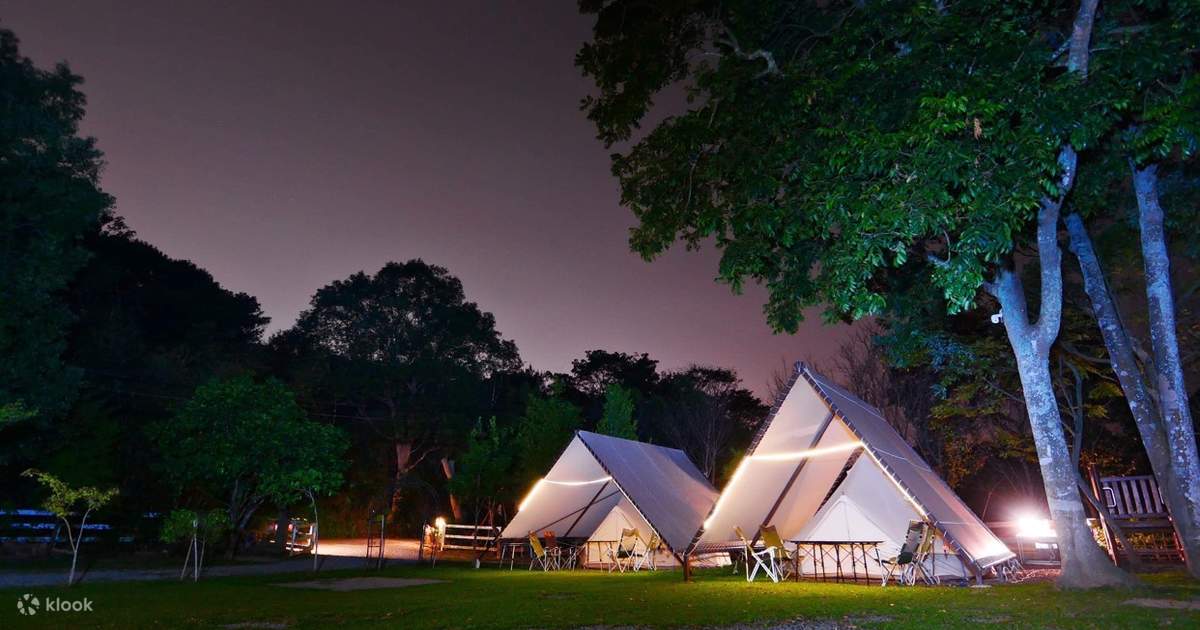 Miaoli: Bell Tent Glamping Experience in Whispering Tree Campground - Klook