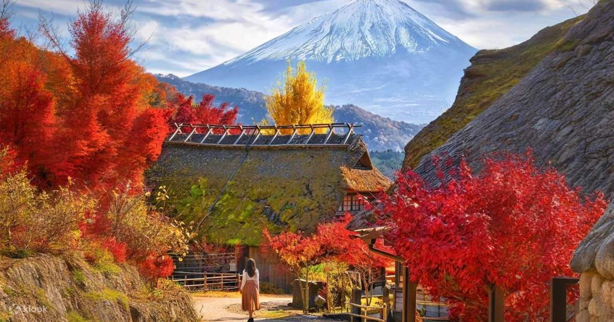 Tour di esplorazione del Monte Fuji｜Parco Arakurayama Sengen·Città di ...