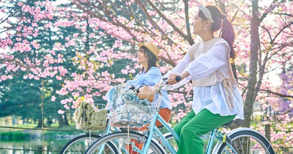 Shiraito Falls & Kumoba Pond & Old Karuizawa Ginza Day Trip (From Tokyo ...