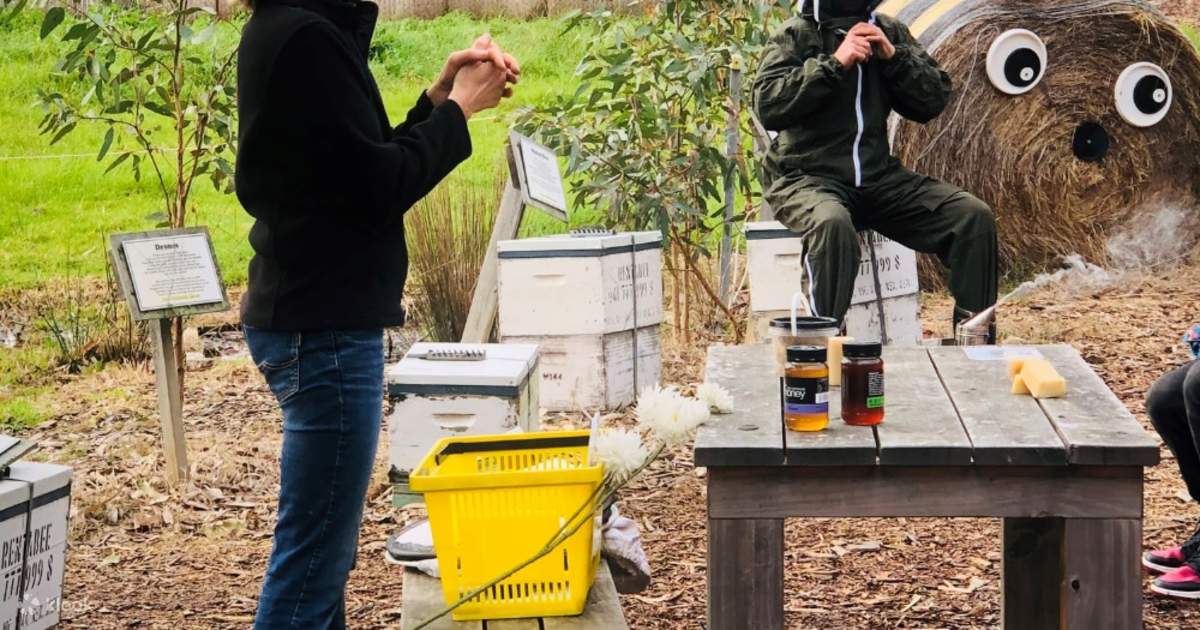 Farm Talk Bee Education - Klook