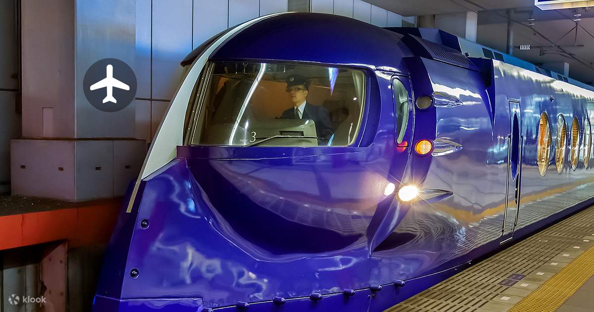 Limited Express Nankai Rapit Ticket - Klook Australia