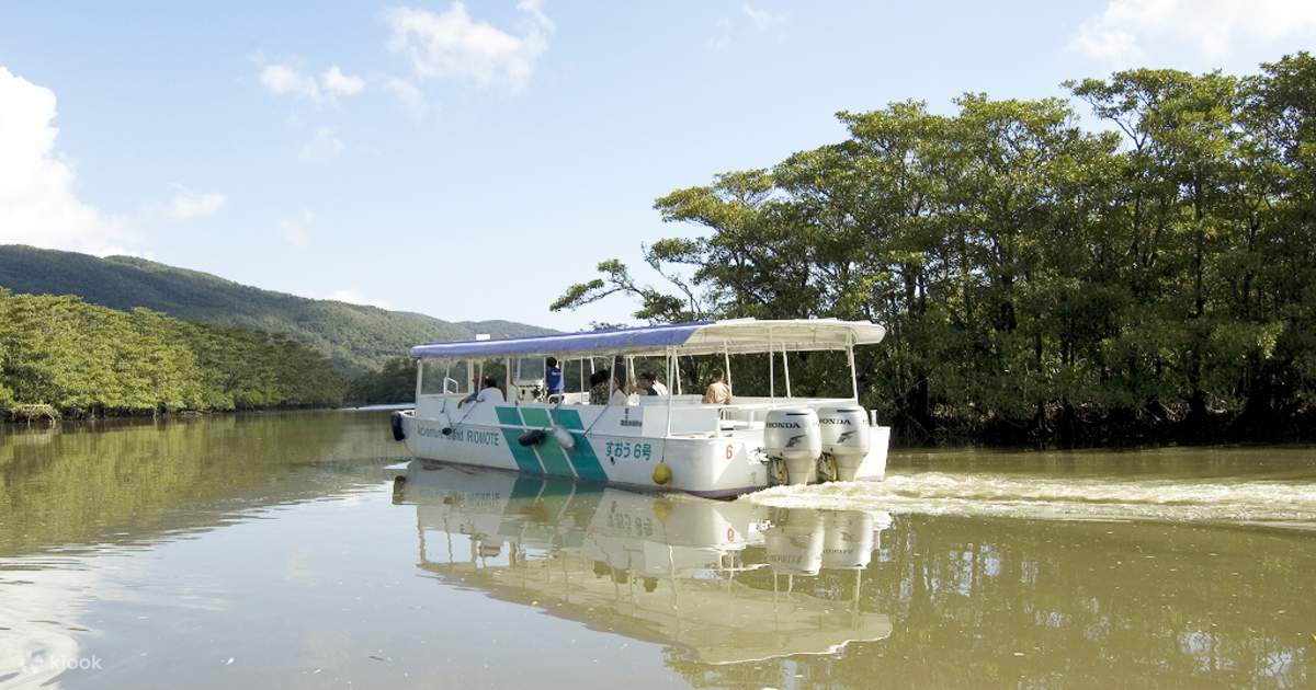 Okinawa Iriomote Island and Yubu Island Day Tour, Japan - Klook