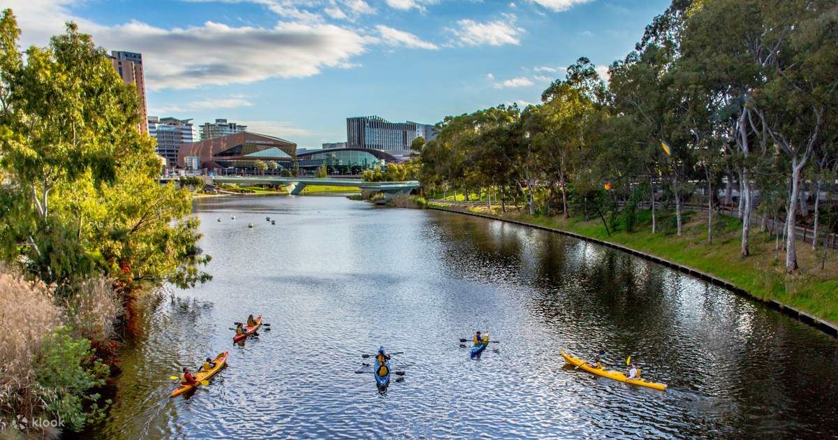 Guided Kayak Tour on the River Torrens in Adelaide - Klook Hong Kong
