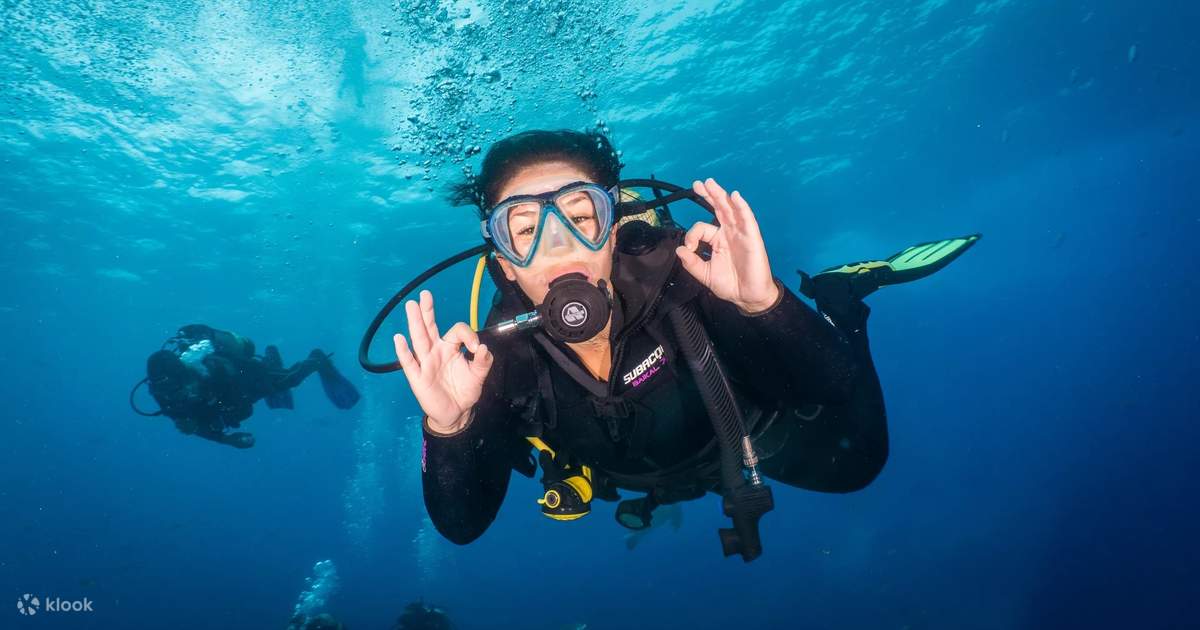 4 Dive Pack (by boat) in Canary Islands with PADI 5 Star IDC - Klook ...