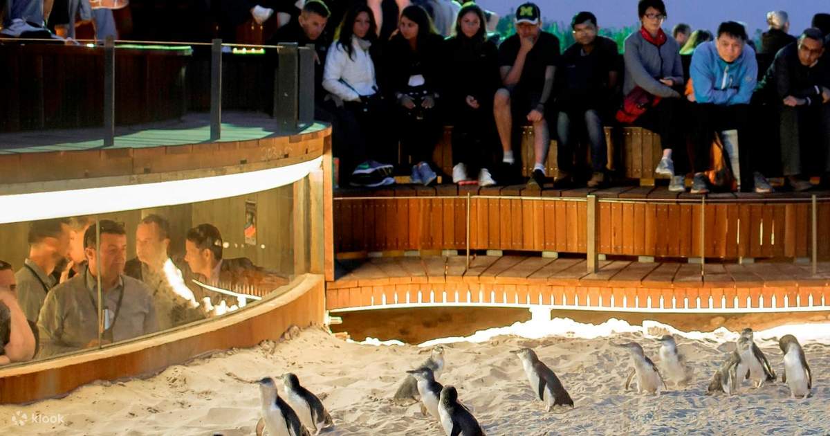 Melbourne Phillip Island Private Tour - Klook Philippines