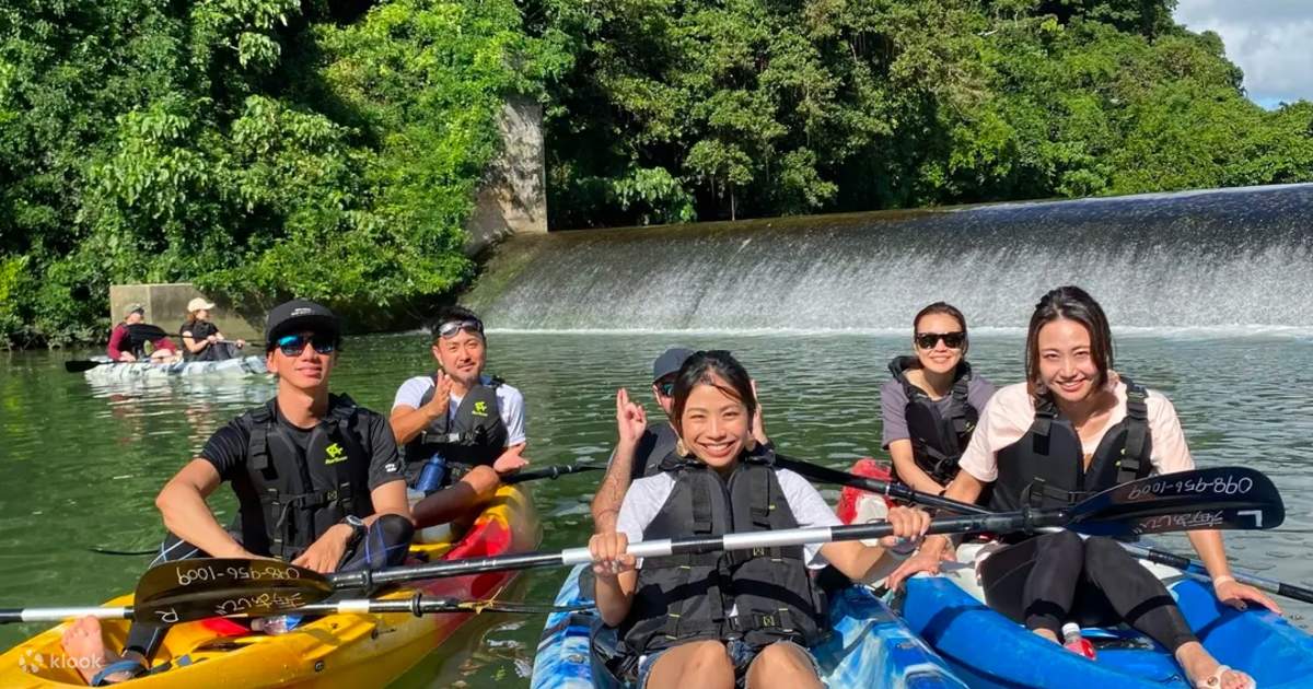 Mangrove Kayak tour in Okinawa - Klook United States