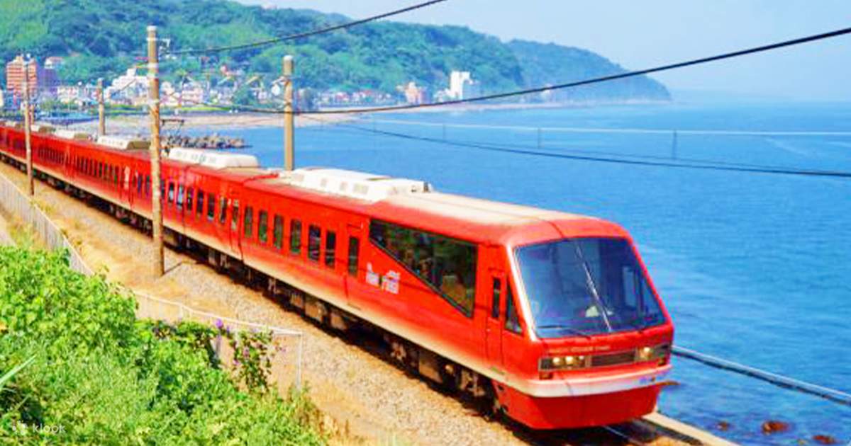 Tur Sehari Izu Omuroyama & Cactus Zoo & Sea View Train Resort 21 ...