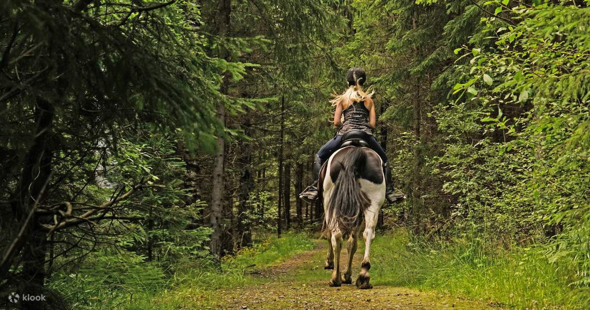 Bush Horse Riding in Mornington Peninsula - Klook Australia