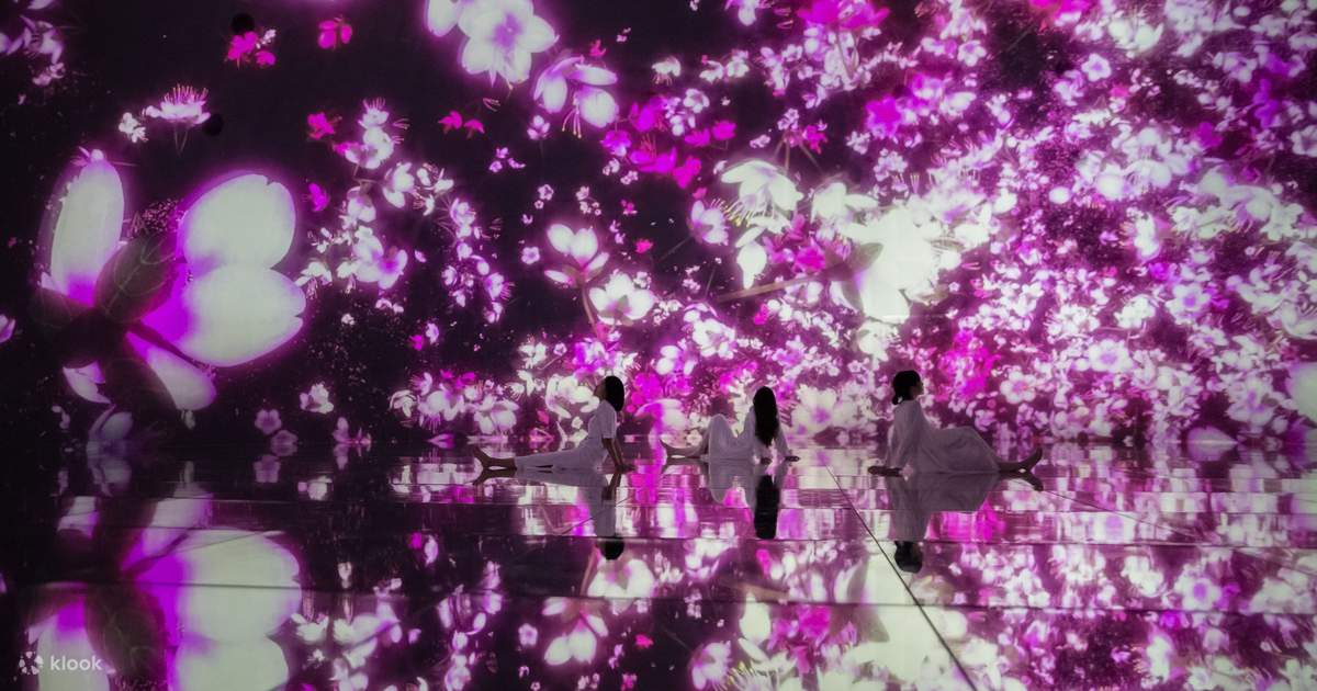 teamLab Planets Toyosu Tokyo Ticket - Klook