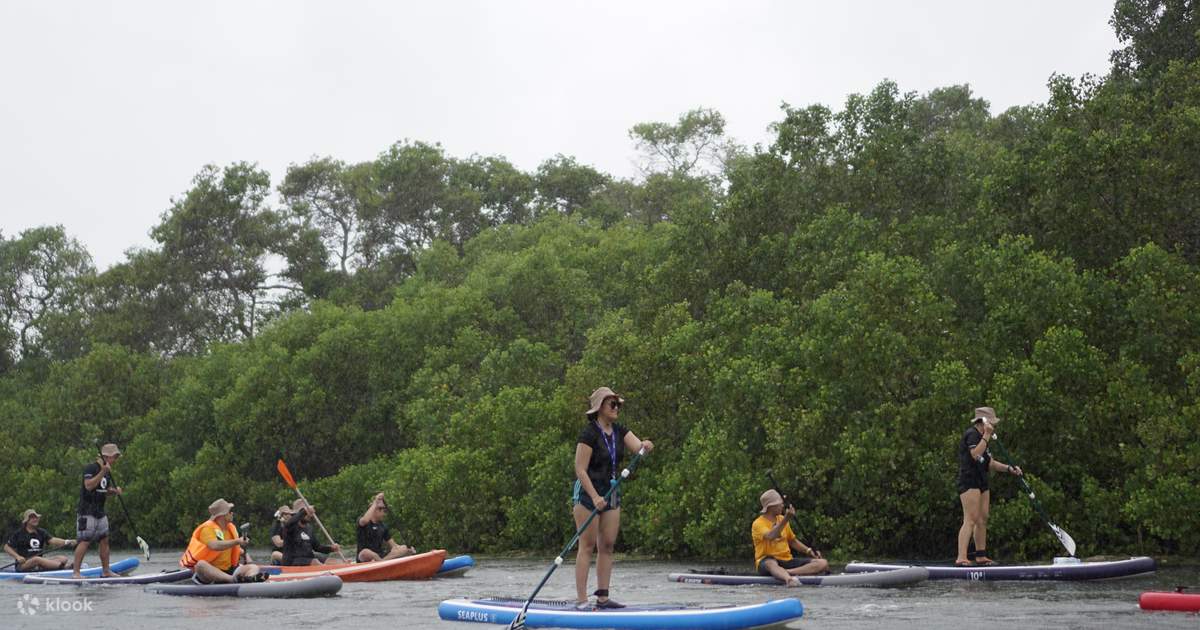 Stand Up Paddle Board Tour in Bali - Klook