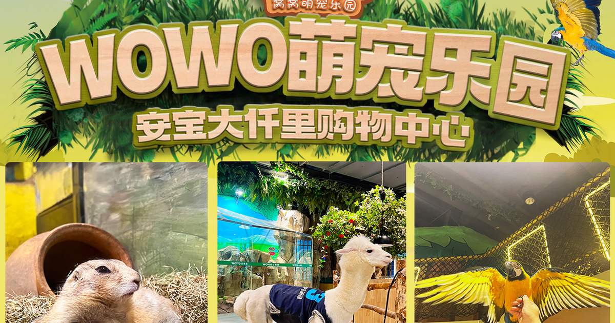 Shenzhen WOWO cute pet paradise (Baoan Daqianli store) - Klook ...
