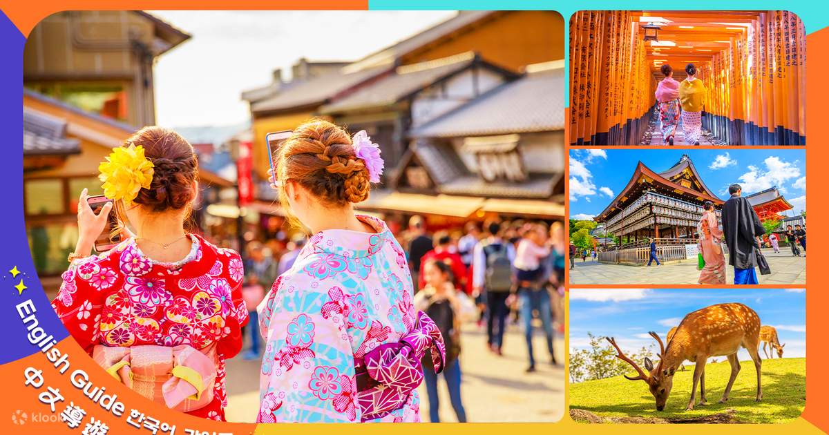 Gita di un giorno a Kyoto Nara │ Tempio Kiyomizu + Santuario Fushimi ...