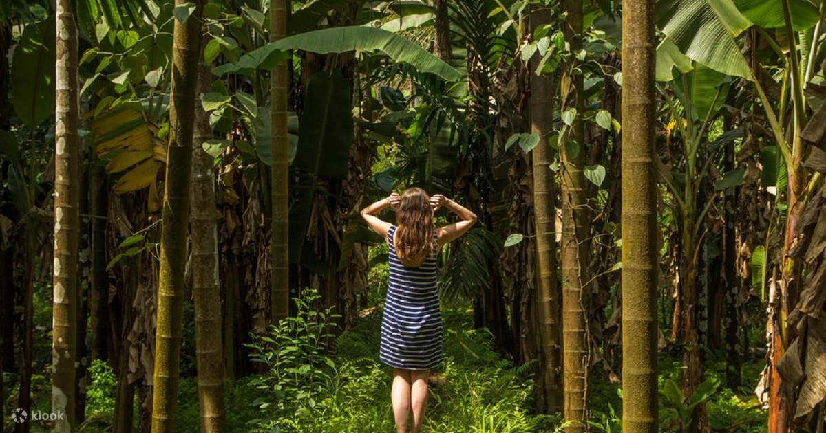 Experimente lo mejor del sur de Goa con el tour privado Spice ...