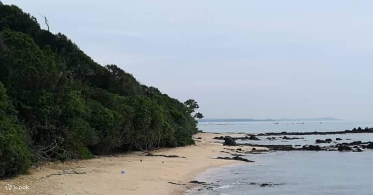 90 Minutes Beach and Tide Pool Walk in Desaru Walking Tour - Klook ...