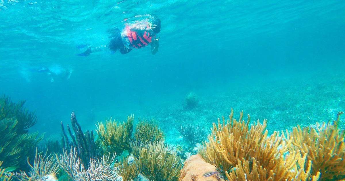 Puerto Morelos Coral Reef Snorkeling in Cancun - Klook, Vereinigte Staaten